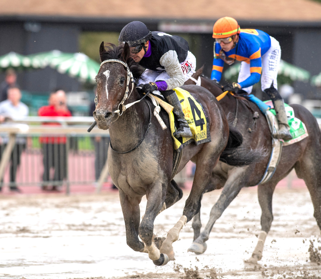 Damon's Mound, Ryvit meet again in Steel Valley Sprint on five-stakes card Damon's Mound, Ryvit meet again in Steel Valley Sprint on five-stakes card
